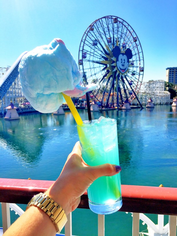 The Cove Bar at Disney’s California Adventure Park – SavvySweets